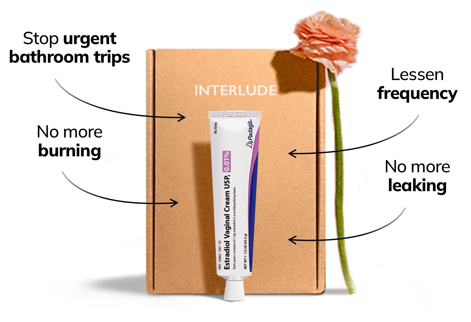 Vaginal Estrogen - Interlude