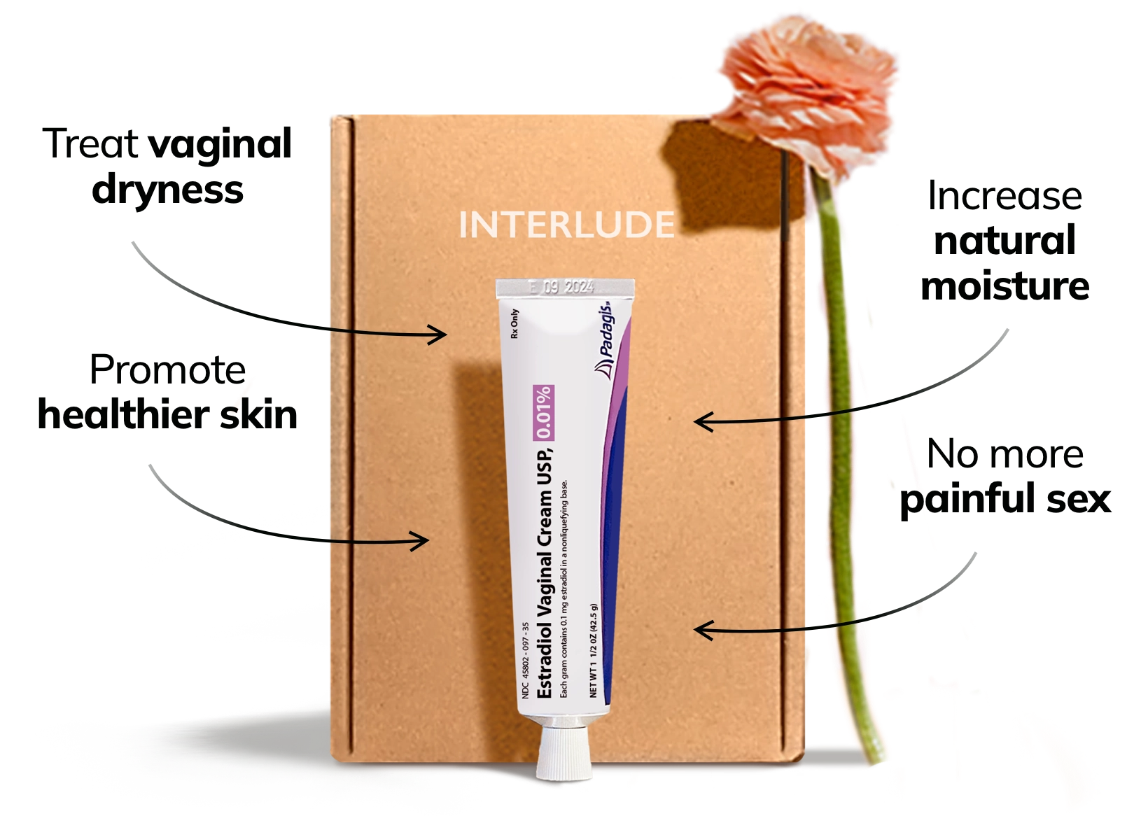 Vaginal Estrogen - Interlude